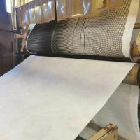 China 3D Composite Drainage Geonet The Ultimate Drainage Solution for Landfill Inner Walls for sale