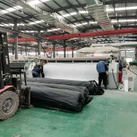 China 3D Composite Drainage Geonet The Ultimate Drainage Solution for Landfill Inner Walls for sale