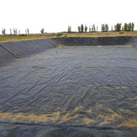 China Fish Pond Shrimp Pond Dock Engineering Reservoir Geomembrana Waterproof Membrane Dam Liner for sale
