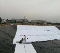 China 3D Composite Drainage Geonet The Ultimate Drainage Solution for Landfill Inner Walls for sale
