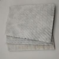 China 3D Composite Drainage Geonet 's Innovative Product for Tunnel Protection in Landfills for sale