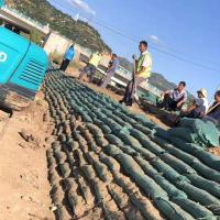 China 810mm*410mm Geobag Ecological Bag for River Slope Protection and Flood Control for sale