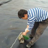 China High power temperature control 900 geomembrane welder for welding pond liner landfill for sale