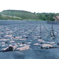 China GB/ASTM GRI-GM13 Standard Pond Fish Liner Cistern Geomembrane for Industrial Design for sale