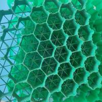 China CE/ISO9001/ISO14001 Parking Lot Plastic Grass Paver Grids 80-250 Tons Loading Capacity for sale