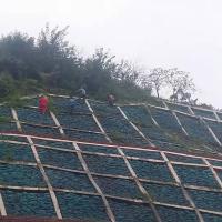 China Tenglu Road Slope Protection and Lake Protection Geobag for Ecological Preservation for sale