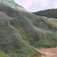 China Tenglu Road Slope Protection and Lake Protection Geobag for Ecological Preservation for sale