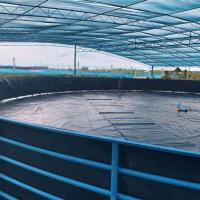 China Reinforced Hdpe Geomembrane Standard ASTM GRI GM13 Green Made In Within Manufacturers for sale