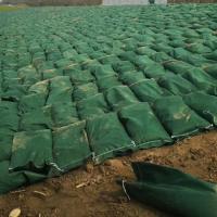 China Industrial Design Style Made in Geobag for Environment Protection and Slope Greening for sale