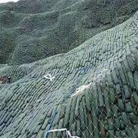 China Nonwoven Needle Punched Geotextile Geo Bag for River Regulation and Mine Restoration for sale