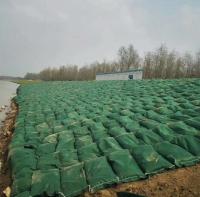 China Nonwoven Needle Punched Geotextile Geo Bag for River Regulation and Mine Restoration for sale