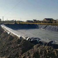 China 1.0mm 1.5mm Black Plastic Geomembrane for River and Tailings Reservoir Anti-seepage for sale
