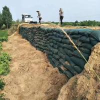 China Environmental-friendly Civil Geotextile Filter Bag for Mine Restoration and Slope Greening for sale