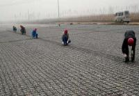 China Modern Design Steel Plastic Geogrid for Railway Surface Enhance Road Surface Resistance for sale