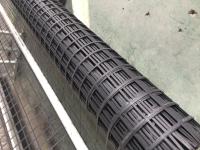 China Modern Design Geogrids High Strength Solution for Simple Construction Revetment Dams for sale