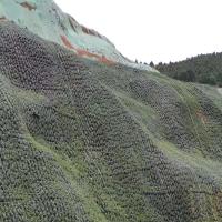China PP PET Non-Woven Fabric Geobag for Slope Protection and Greening Barren Mountain Mines for sale