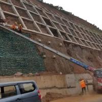 China PP PET Non-Woven Fabric Geobag for Slope Protection and Greening Barren Mountain Mines for sale