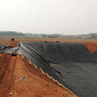 China Non-Slip Rough Surface Geomembrane for Fish Shrimp Farm Pond for sale