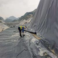 China PP HDPE PE PVC EVA geomembrane fish pond liner welder HMT 1300 welding machine channel for sale