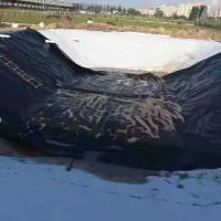 China Customized Anti-seepage HDPE Geomembranes for Artificial Lake and River Landfill Cove for sale