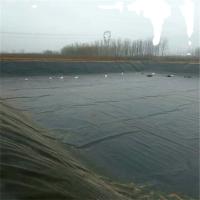 China 0.2mm Black Plastic Anti-Seepage Geomembrane with CE/ISO9001/ISO14001 Certifications for sale