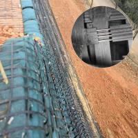 China High Tensile Strength Steel Plastic Geogrid for Retaining Wall and Road Driveway for sale