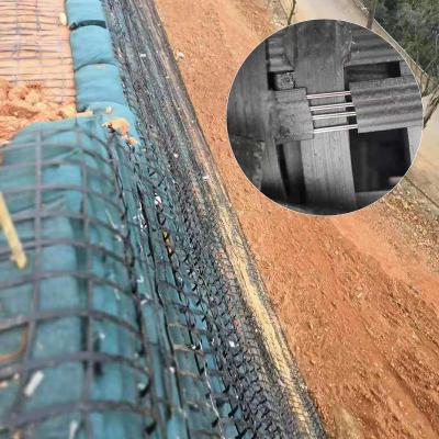 China High Tensile Strength Steel Plastic Geogrid for Retaining Wall and Road Driveway for sale