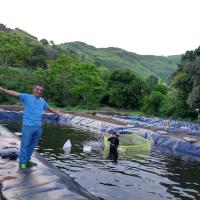 China HDPE Black Fish Farm Pond Liner Plastic Geomembrane for Fish Pond Industrial Design Style for sale