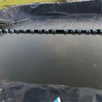 China HDPE Black Fish Farm Pond Liner Plastic Geomembrane for Fish Pond Industrial Design Style for sale