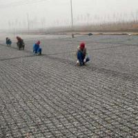 China Highways and Railways 100kn Steel Plastic Geogrid Road Surface Resistance Engineering for sale