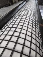China Modern Design Geogrids PE Biaxial Mesh Fiberglass for Driveway Stabilization Solution for sale