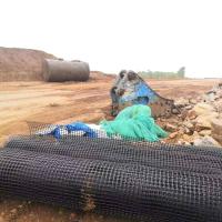 China Highway Maintenance Black and White Grass Net Mat with Stable Biaxial Plastic Geogrid for sale