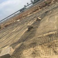 China Geogrids for Driveway Road Reinforcement Retaining Wall Plastic Bia-xial Geogrid for sale