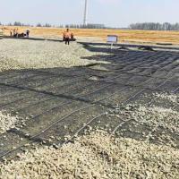 China Taian Provides 100% PP Uniaxial Geogrid for Easy Construction at Best for sale