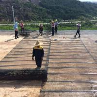 China Taian Provides 100% PP Uniaxial Geogrid for Easy Construction at Best for sale
