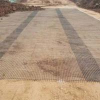 China Industrial Design Style Bidirectional Plastic Geogrid for Road Foundation Enhancement for sale