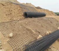 China Best and 100% PP Material High Strength Polypropylene Geogrid for Reinforcing Roadbed for sale