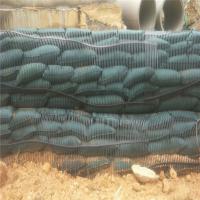 China Best and 100% PP Material High Strength Polypropylene Geogrid for Reinforcing Roadbed for sale