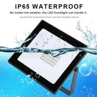 China High Power 50W 100W IP65 LED Flood Light for Outdoor Stadium Lighting Wireless Color White for sale