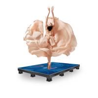 China Interactive LED Dance Floor Panels , Full Color LED Video Display Screen Floor Tiles for sale