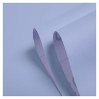 China Self-Adhesive PVC Wall Paper Wallpaper for Home Wall Decor Waterproof ECO-Friendly for sale