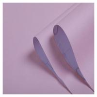 China Self-Adhesive PVC Wall Paper Wallpaper for Home Wall Decor Waterproof ECO-Friendly for sale