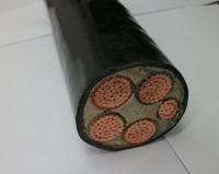 China 3×50mm2 3×70mm2 8.7/15kV PVC Sheathed XLPE Power Cables for sale