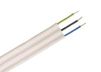 China Low Voltage Copper Conductor PVC Insulated Cables For Plaster for sale