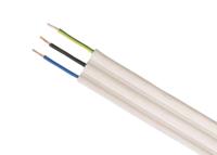 China Low Voltage Copper Conductor PVC Insulated Cables For Plaster for sale