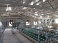 China Galvanized Q355B Frame Steel Structure Workshop Steel Livestock Buildings Rapid Assembly for sale
