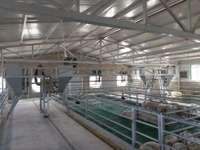 China Galvanized Q355B Frame Steel Structure Workshop Steel Livestock Buildings Rapid Assembly for sale