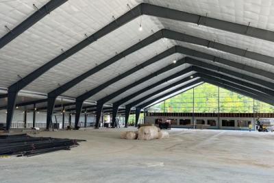 China Clear Span Q355B Q460 Steel Frame Rigid Industrial Commercial Primary Framing System for sale