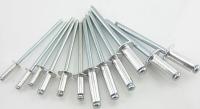 China 316L Stainless Steel Rivet Connection In Steel Structure Corrosion Resistant for sale