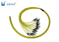 China 24 Core Break Out Pigtail Fiber Optic Cable OS2 PVC / LSZH  Jacket Low Insertion Loss for sale